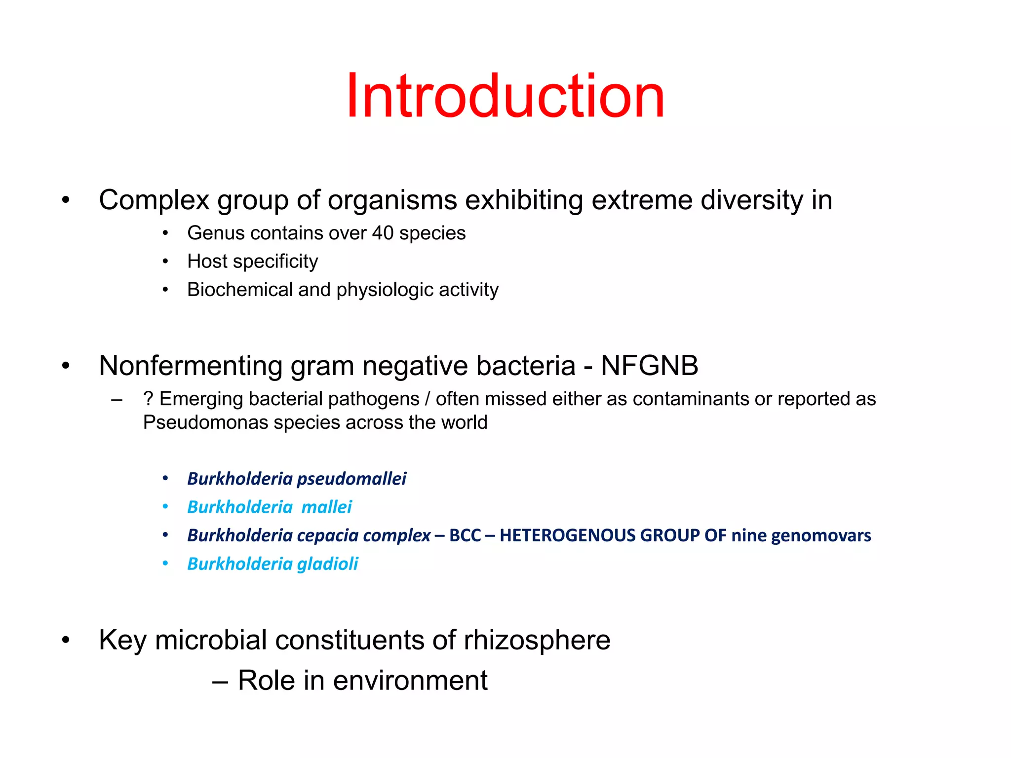 Seminar burkholderia 1 | PPTX