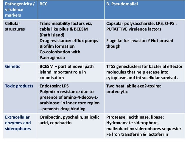 Seminar burkholderia 1