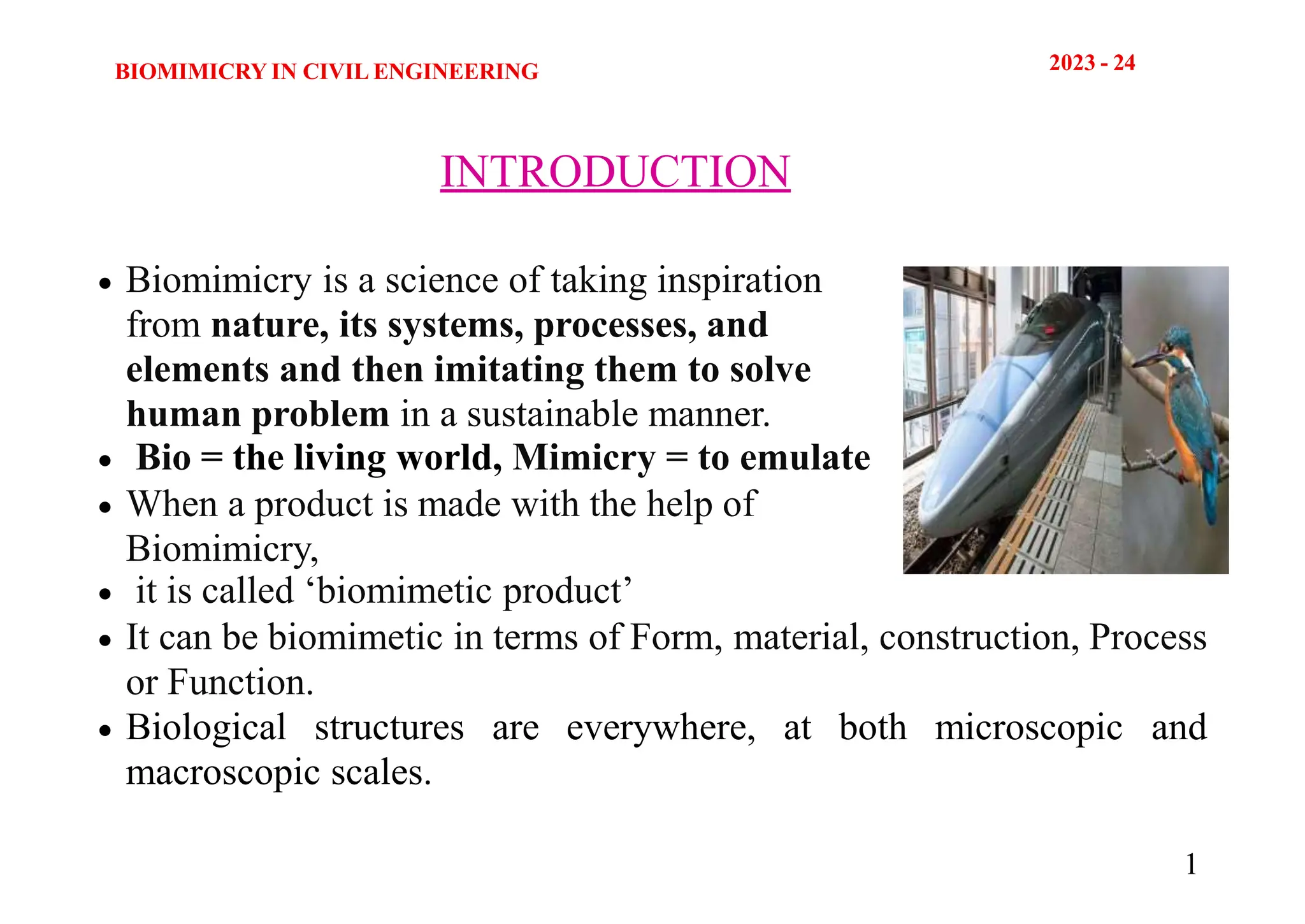 BIOMIMICRY IN DEPARTMENT OF CIVIL ENGINEERING PPT | PPTX