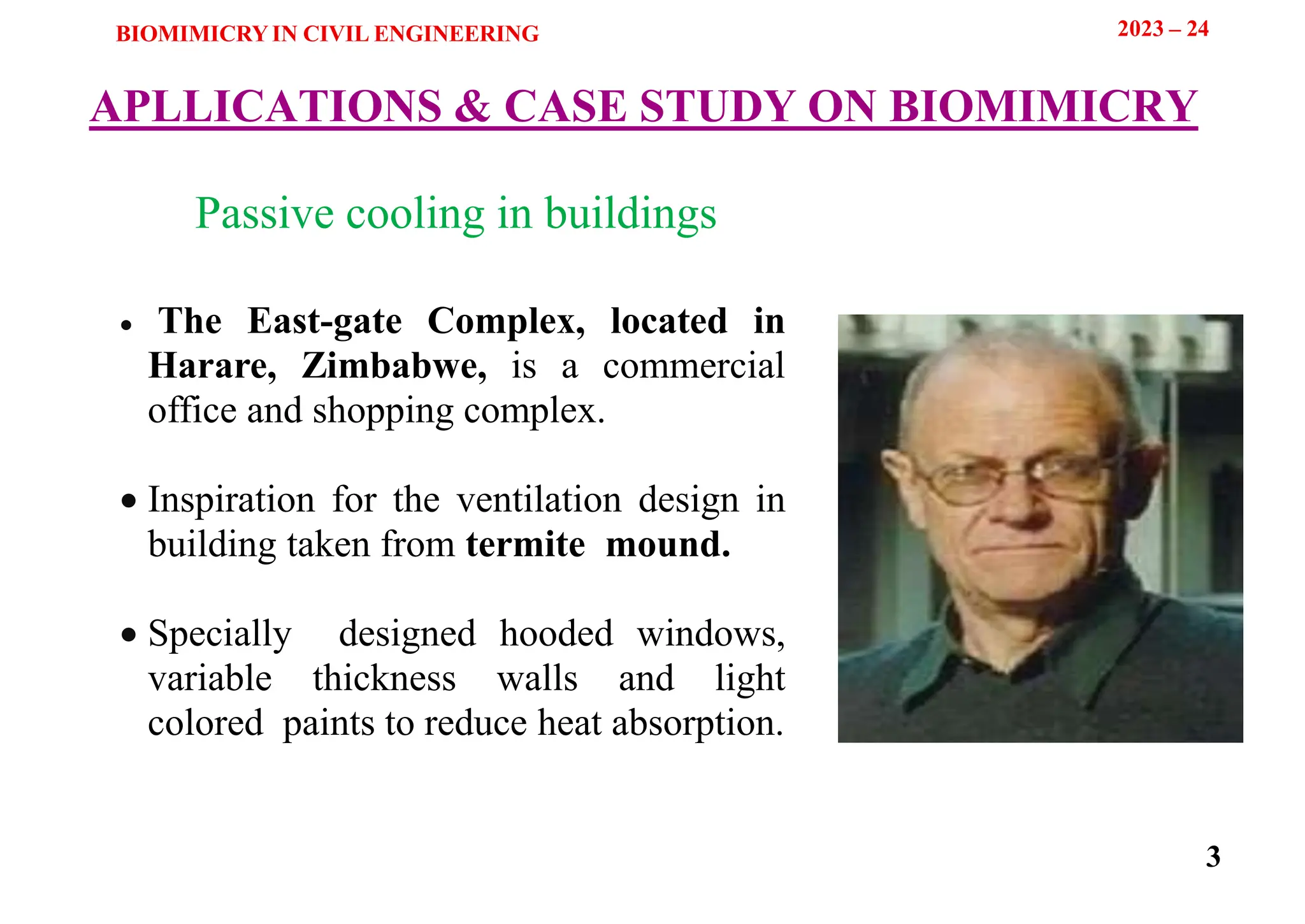 BIOMIMICRY IN DEPARTMENT OF CIVIL ENGINEERING PPT | PPTX