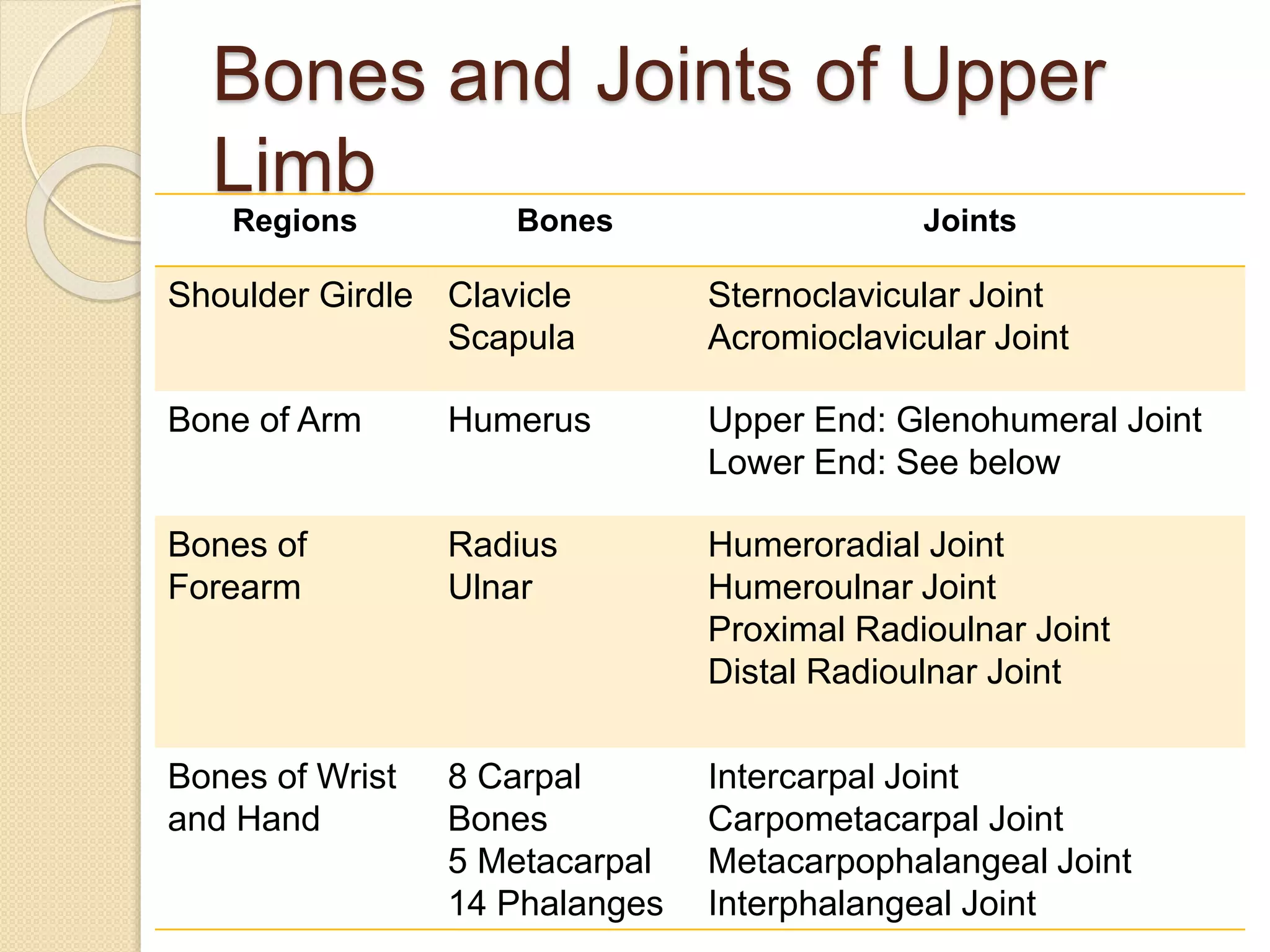 Seminar Clinical Anatomy Of Upper Limb Joints And Muscles Pptx