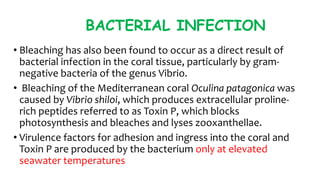 CORAL BLEACHING | PPTX