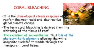 CORAL BLEACHING | PPTX