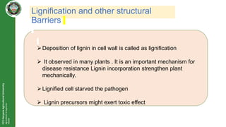 Seminar credit plant pathology non credit.pptx