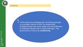 Seminar credit plant pathology non credit.pptx
