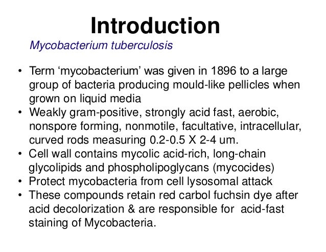 cutaneous tuberculosis