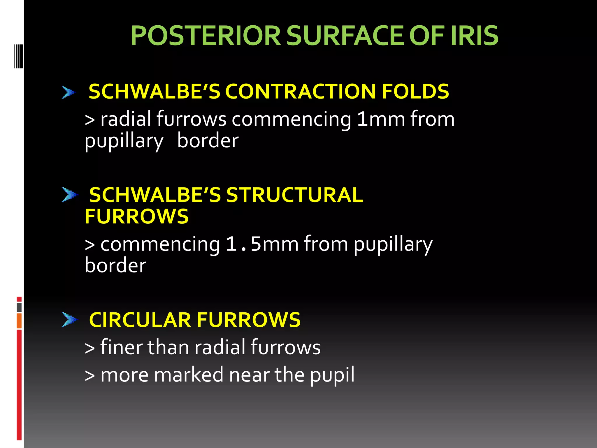 ANATOMY OF IRIS AND ITS CONGENITAL ANOMALIES | PPTX