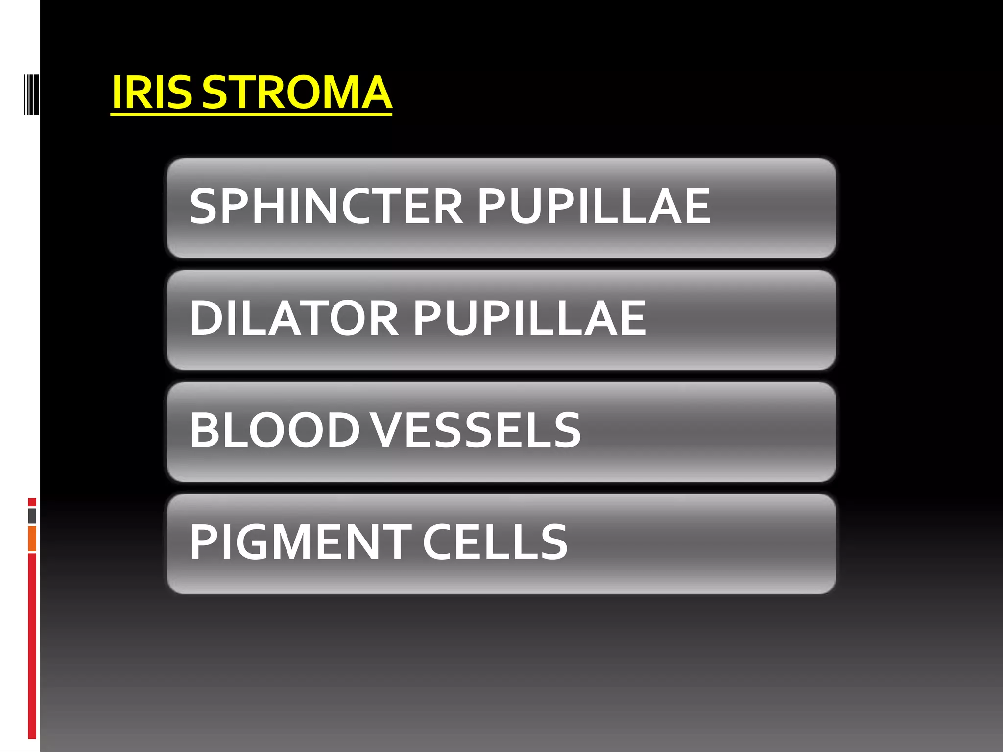 ANATOMY OF IRIS AND ITS CONGENITAL ANOMALIES | PPTX