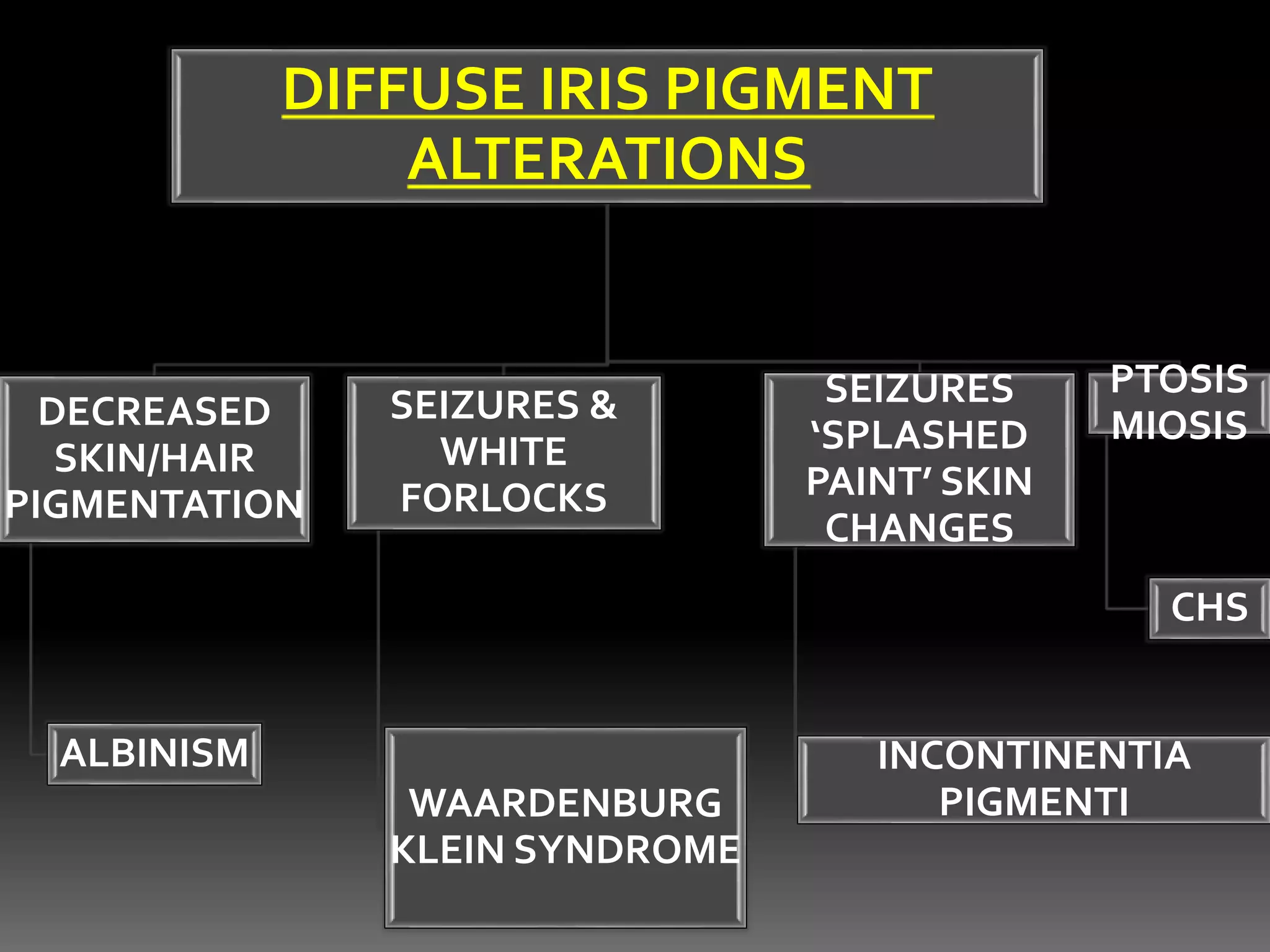 ANATOMY OF IRIS AND ITS CONGENITAL ANOMALIES | PPTX