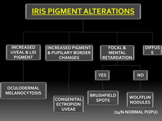 ANATOMY OF IRIS AND ITS CONGENITAL ANOMALIES | PPTX