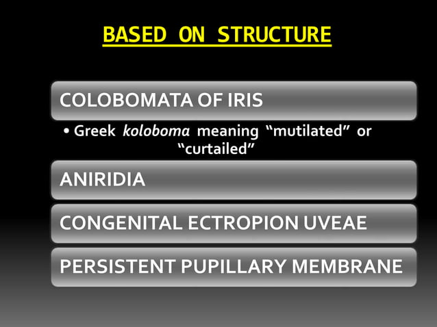 ANATOMY OF IRIS AND ITS CONGENITAL ANOMALIES | PPTX | Eye and Vision ...