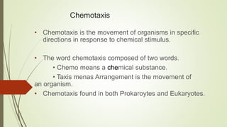 Chemotaxis Movement