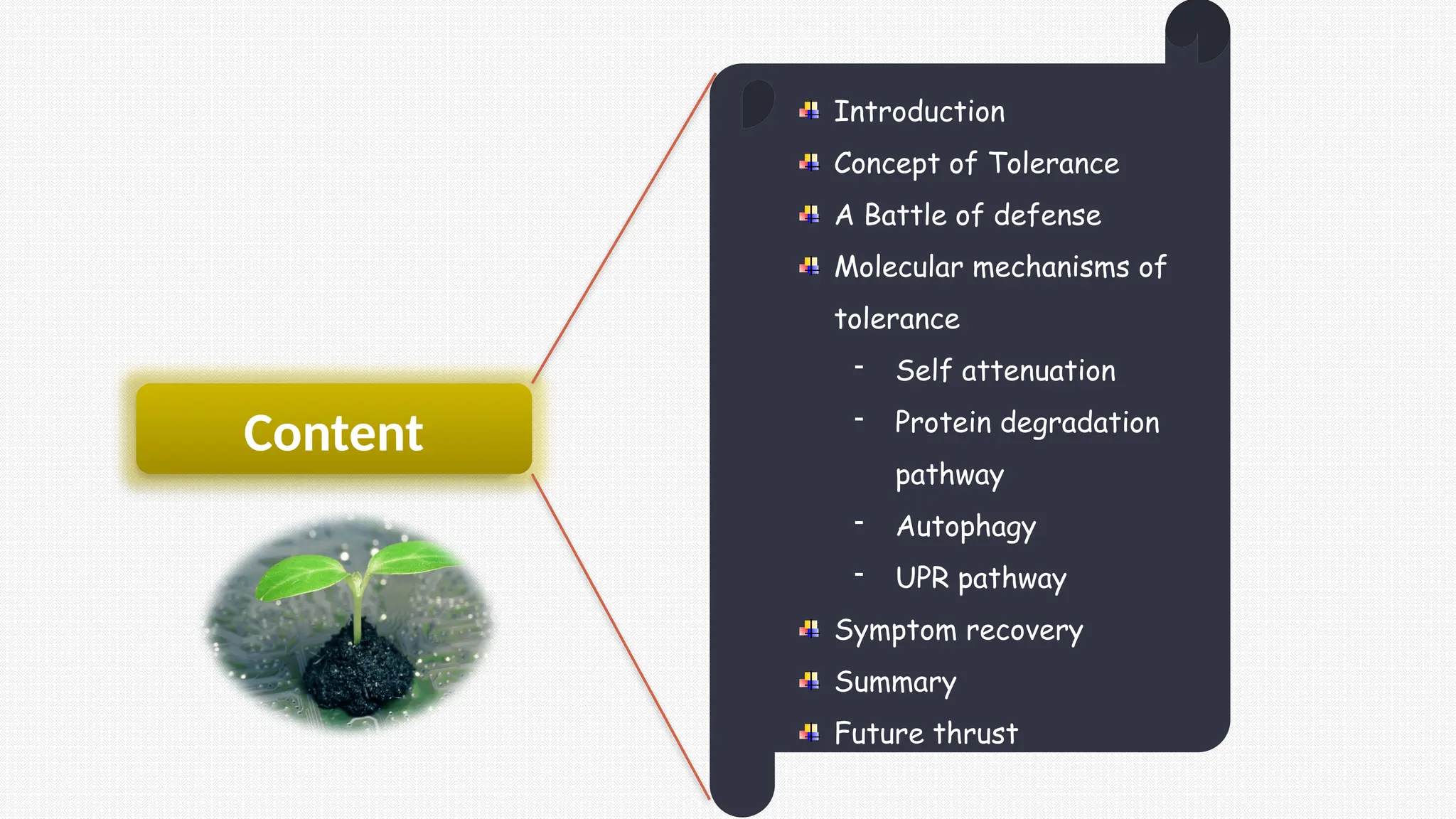MECHANISMS OF TOLERANCE TO VIRAL INFECTIONS IN PLANTS | PPTX