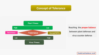 MECHANISMS OF TOLERANCE TO VIRAL INFECTIONS IN PLANTS | PPTX