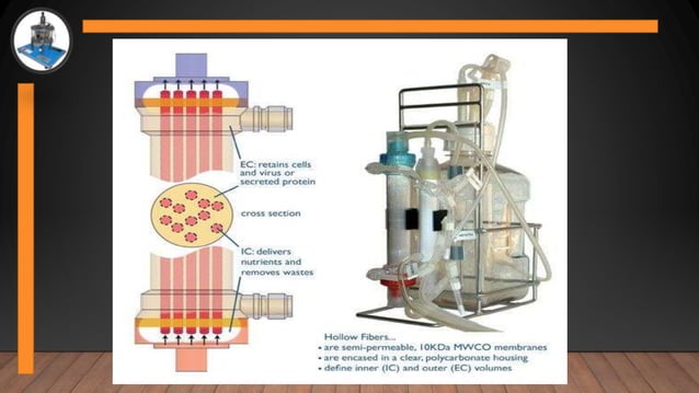 Enzyme reactors | PPTX