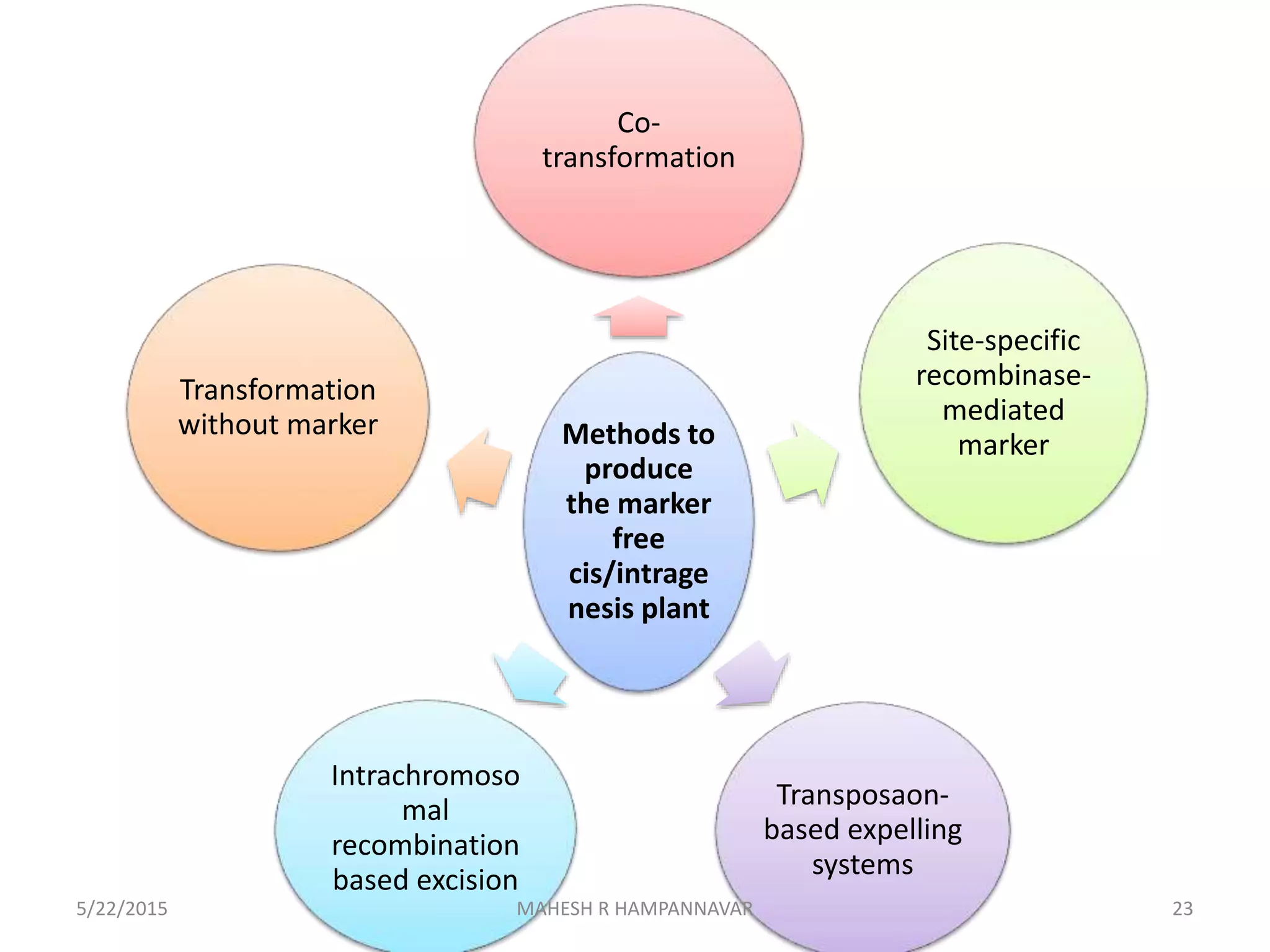 cisgenesis and intragenesis | PPTX