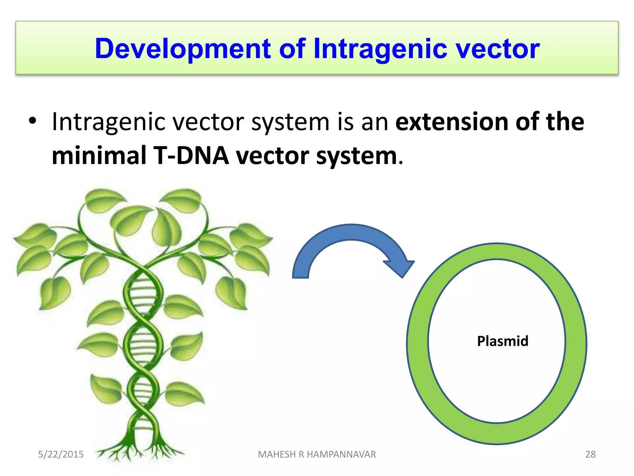 cisgenesis and intragenesis | PPTX