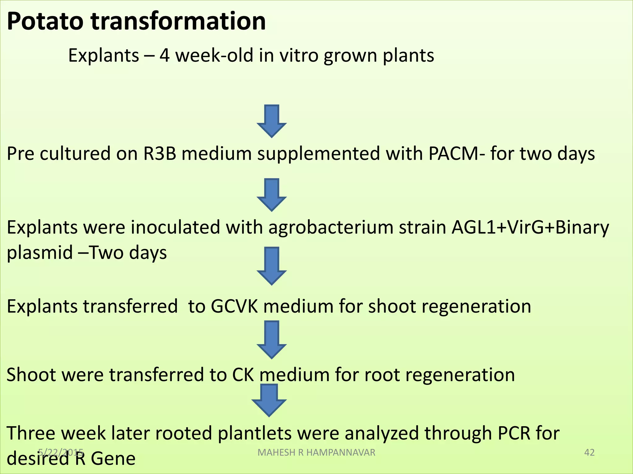 cisgenesis and intragenesis | PPTX