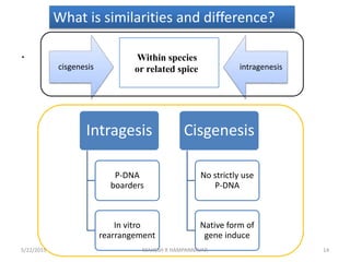 cisgenesis and intragenesis | PPTX