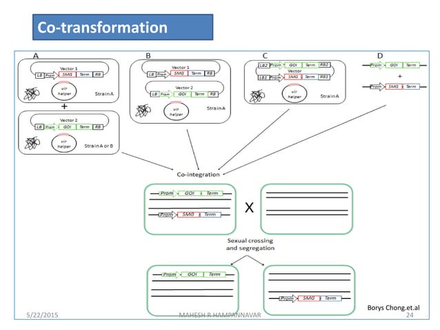 cisgenesis and intragenesis | PPTX