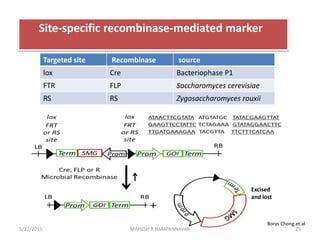 cisgenesis and intragenesis | PPTX