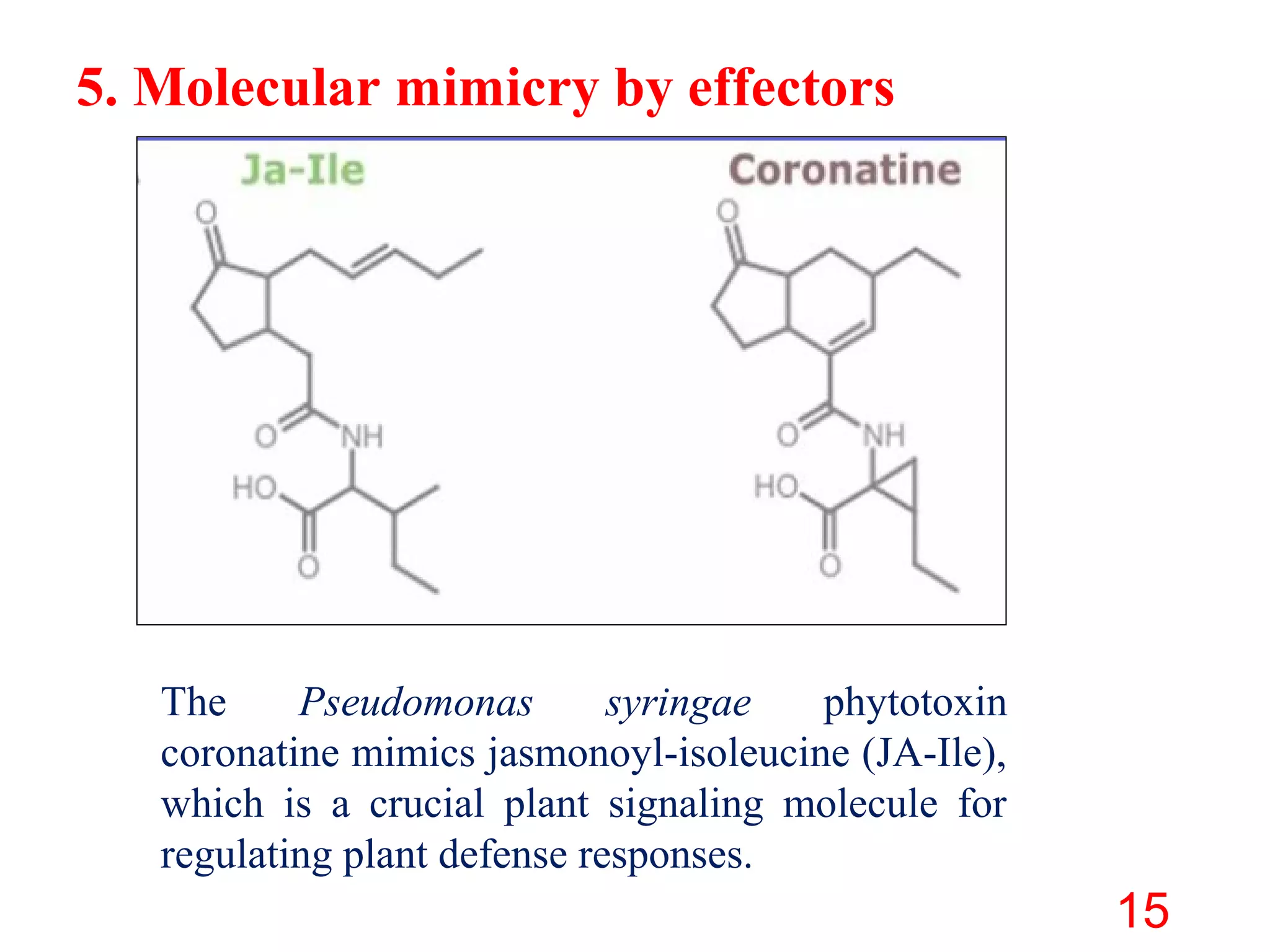 ROLE OF PATHOGEN DERIVED EFFECTOR PROTEINS IN PLANT DISEASE AND ...