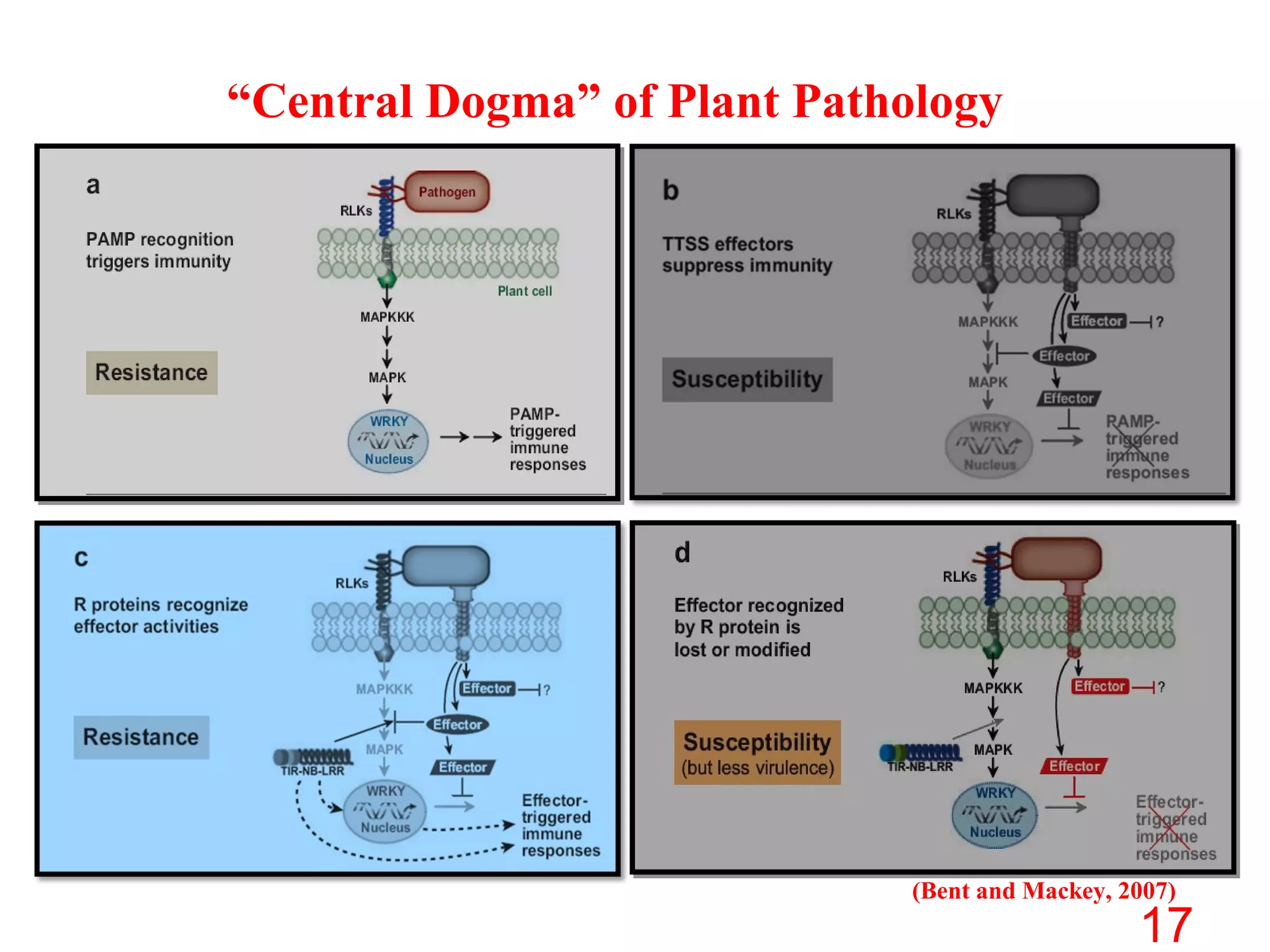 ROLE OF PATHOGEN DERIVED EFFECTOR PROTEINS IN PLANT DISEASE AND ...