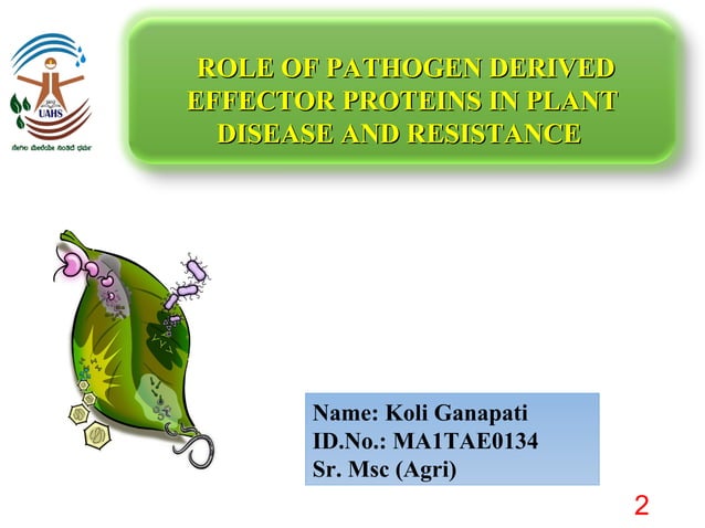ROLE OF PATHOGEN DERIVED EFFECTOR PROTEINS IN PLANT DISEASE AND ...