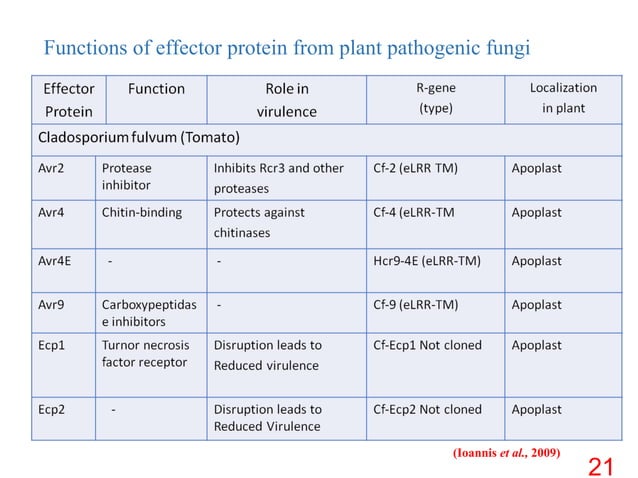 ROLE OF PATHOGEN DERIVED EFFECTOR PROTEINS IN PLANT DISEASE AND ...