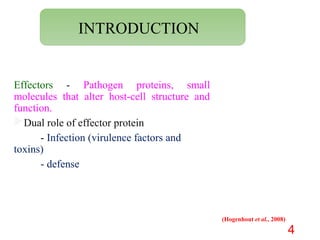 ROLE OF PATHOGEN DERIVED EFFECTOR PROTEINS IN PLANT DISEASE AND ...