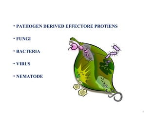 ROLE OF PATHOGEN DERIVED EFFECTOR PROTEINS IN PLANT DISEASE AND ...
