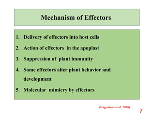ROLE OF PATHOGEN DERIVED EFFECTOR PROTEINS IN PLANT DISEASE AND ...