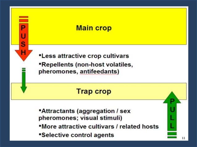Push- Pull strategy | PPTX