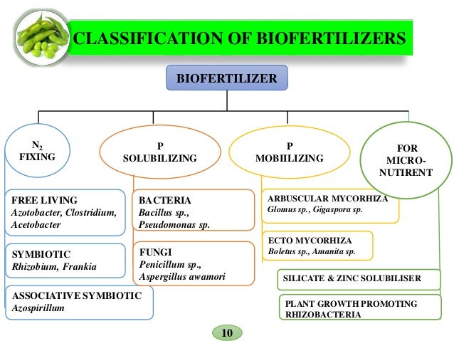 response of biofertilizer to soybean