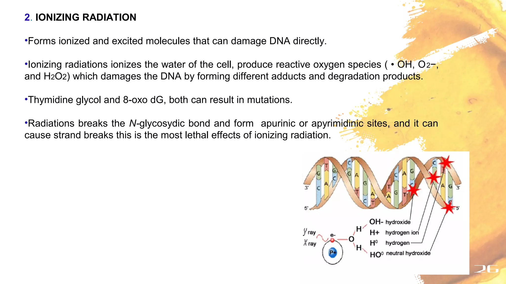 Molecular Basis of Mutation | PPT
