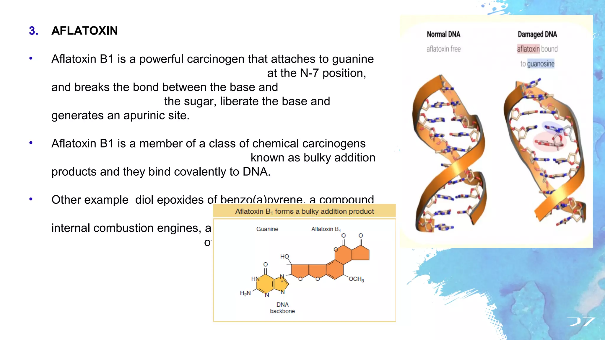 Molecular Basis of Mutation | PPT