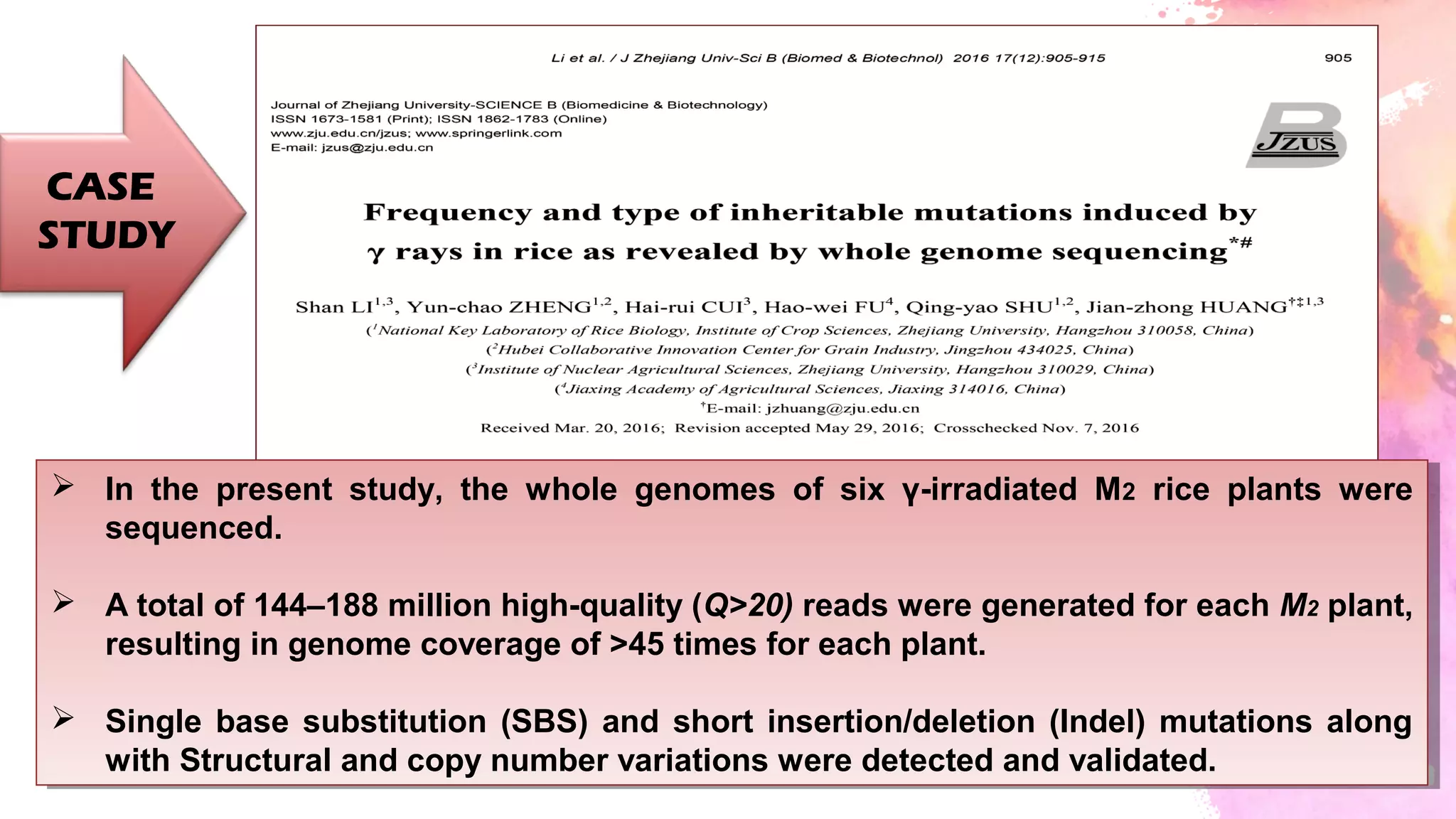 Molecular Basis of Mutation | PPT