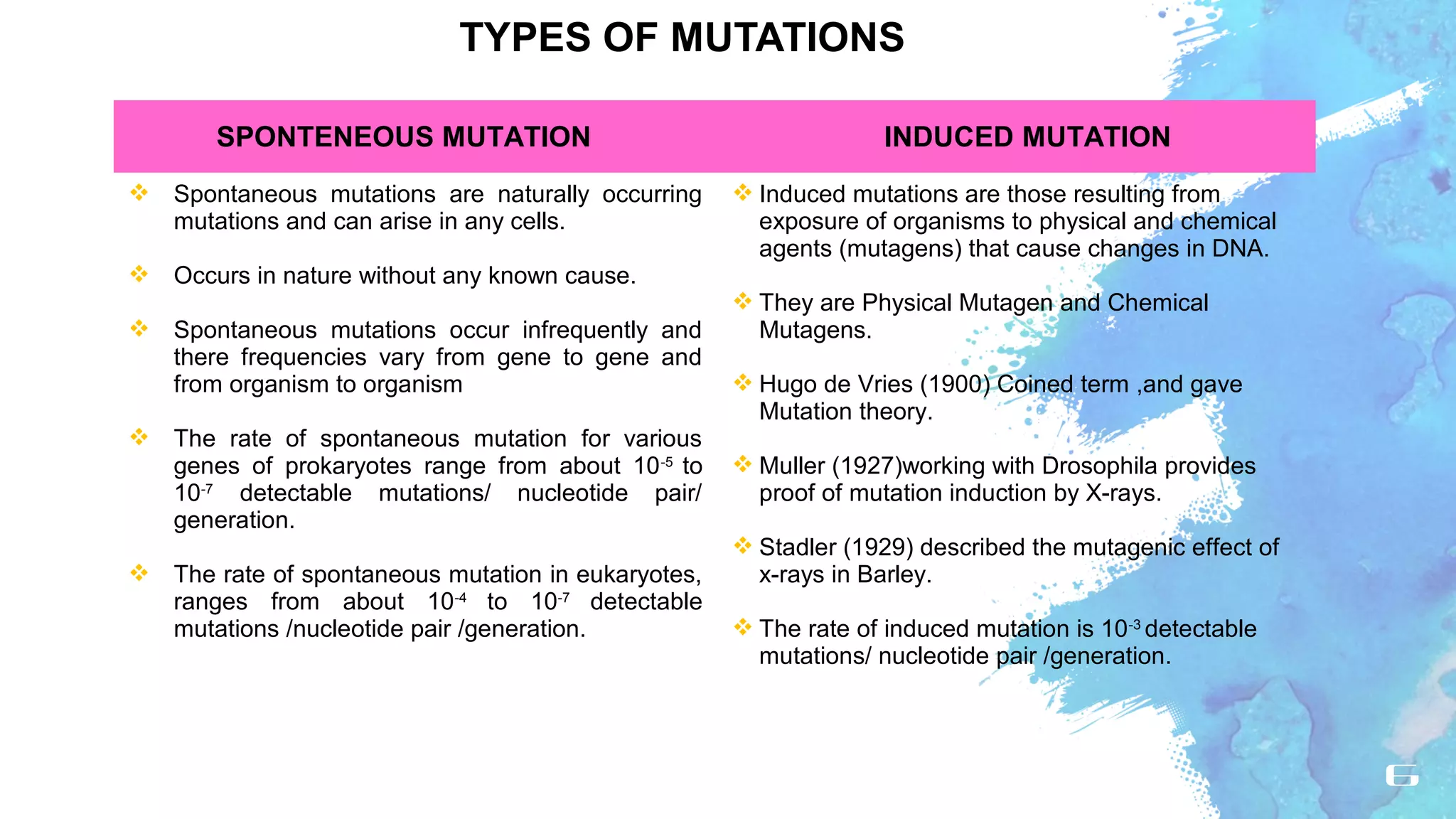 Molecular Basis of Mutation | PPT