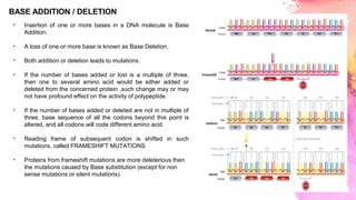 Molecular Basis of Mutation | PPT