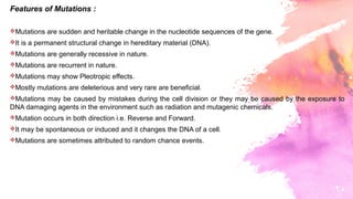 Molecular Basis of Mutation | PPT