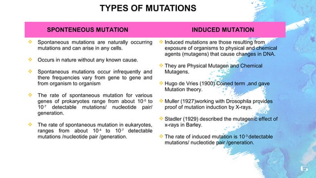 Molecular Basis of Mutation | PPT | Chemistry | Science