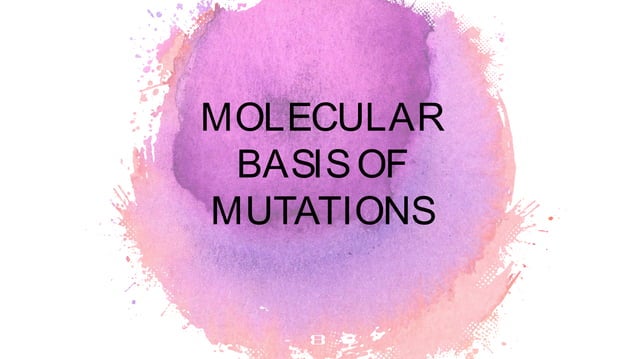 Molecular Basis of Mutation | PPT | Chemistry | Science