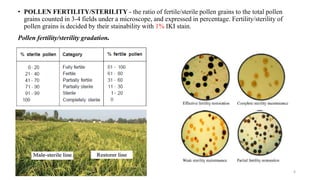 Application of Molecular markers for identification of restorers | PPTX