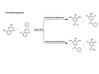 Methods of Determining Reaction Mechanisms - Andria D'Souza | PPTX