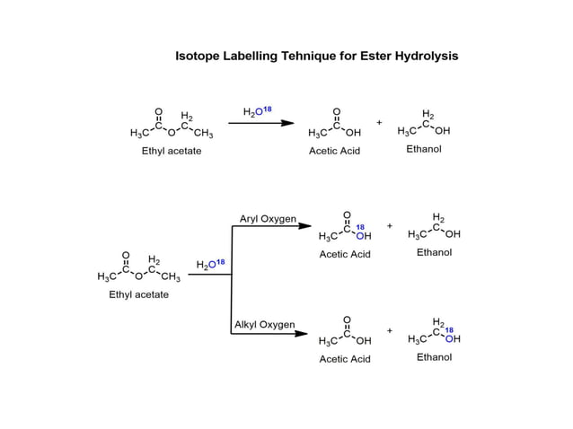 Methods of Determining Reaction Mechanisms - Andria D'Souza | PPTX