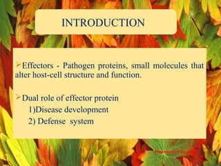 EFFECTOR PROTEINS IN DISEASE DEVELOPMENT AND RESISTANCE | PPT