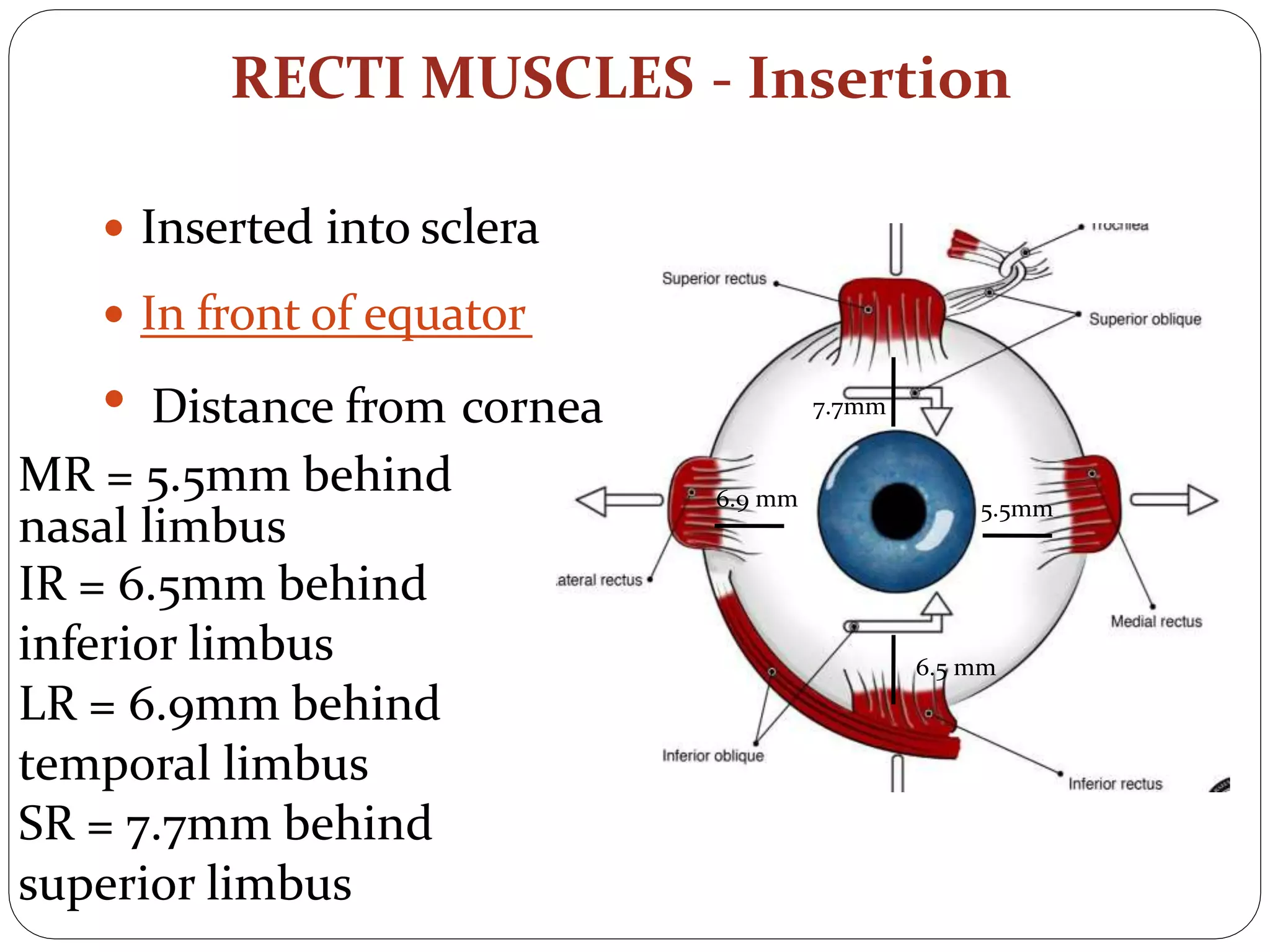 strabismus | PPTX