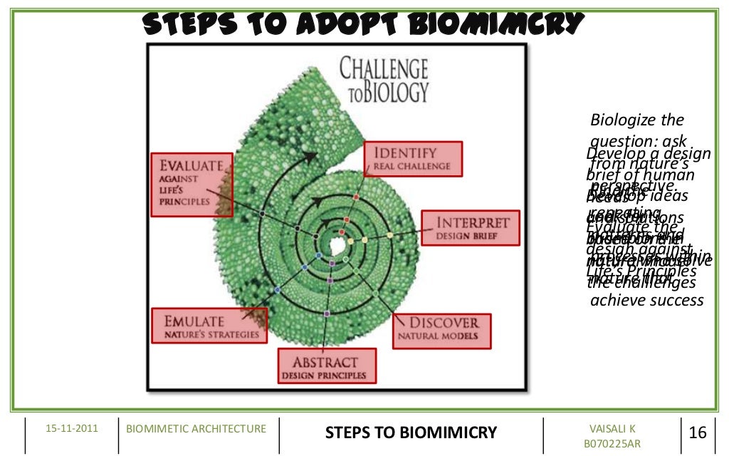 BIOMIMETIC ARCHITECTURE