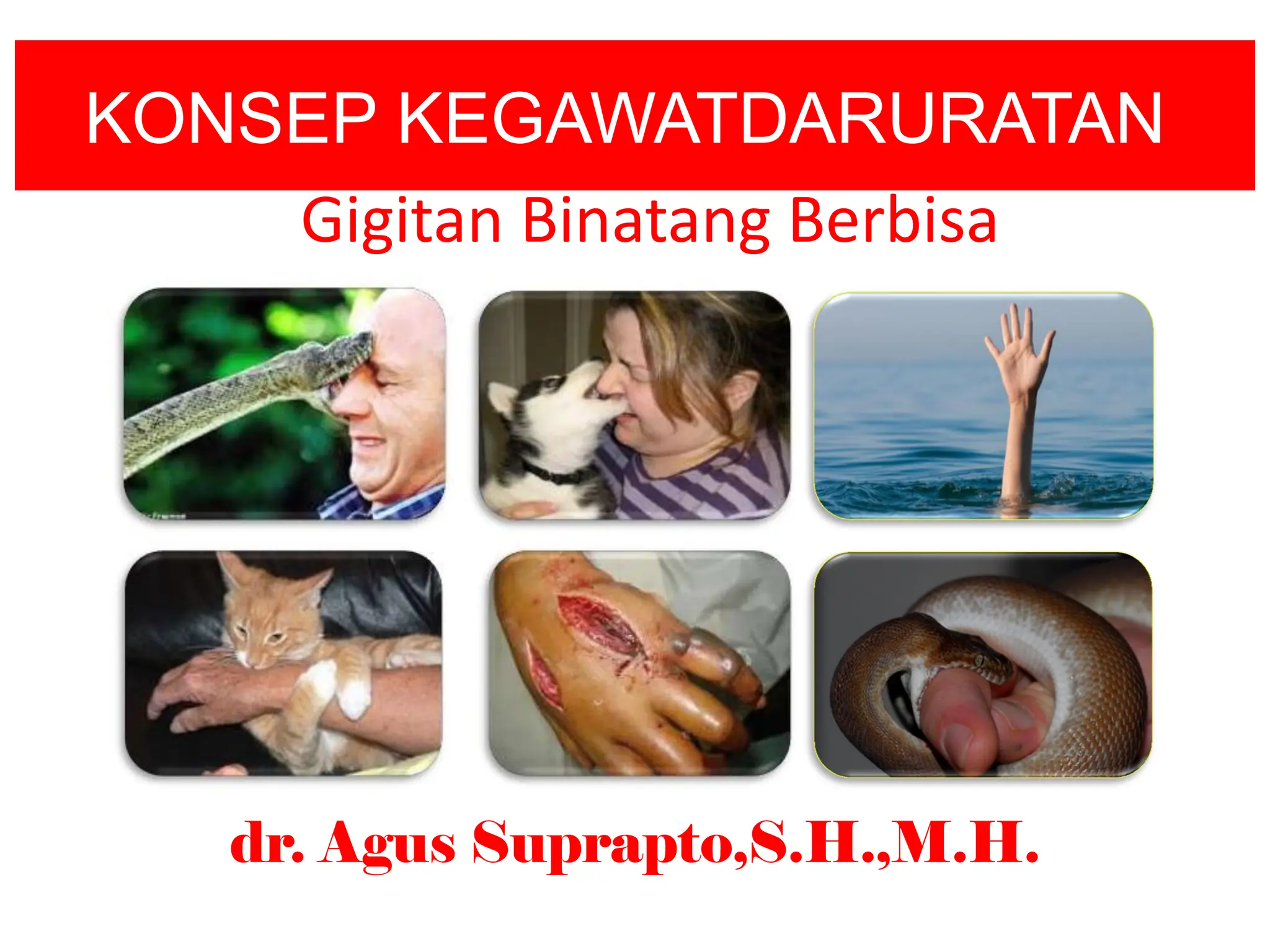 seminar gigitan hewan berbisa - Copy.pdf