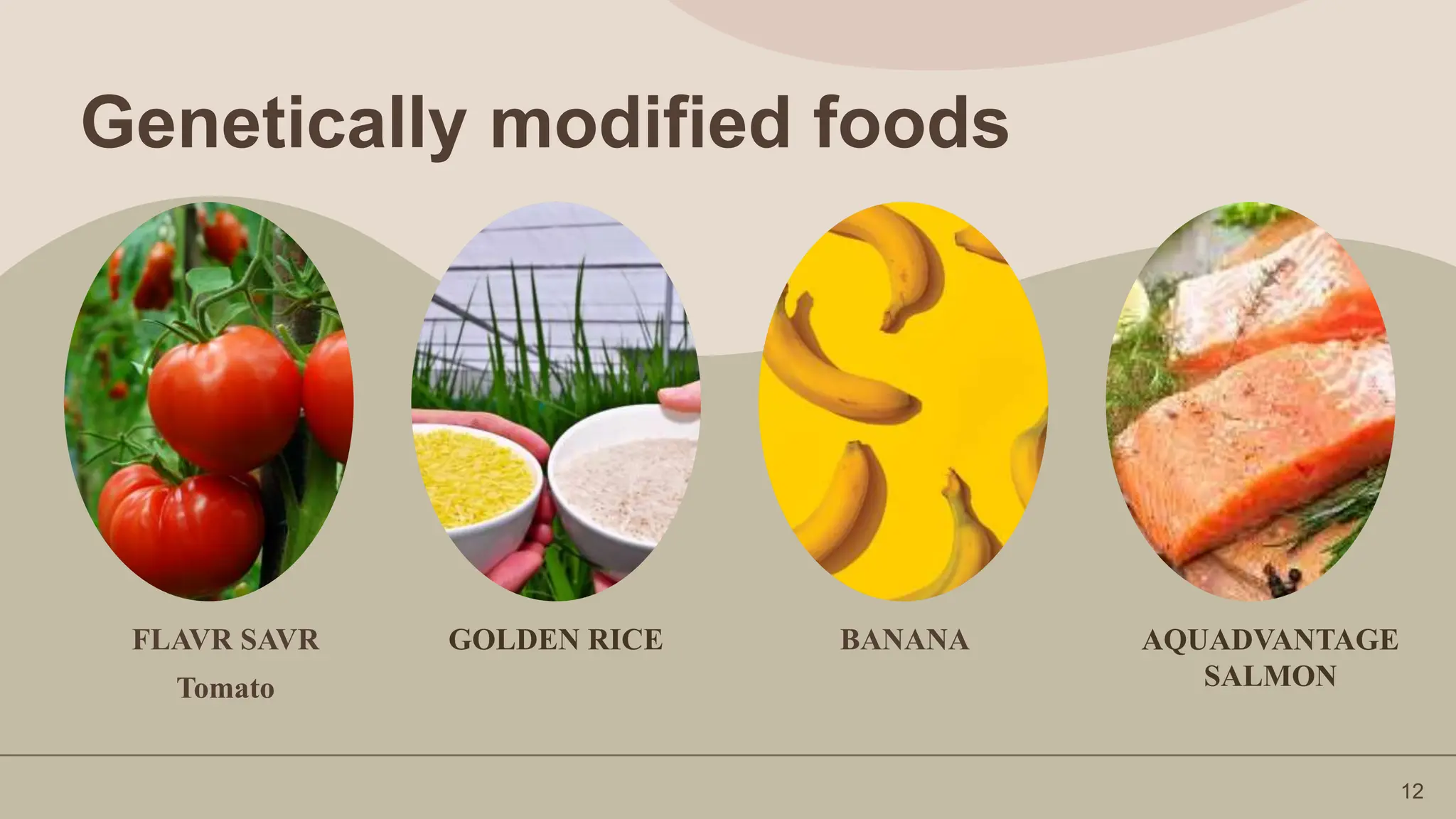 Ethical issues associated with Genetically Modified Crops and Genetically Modified foods.pptx